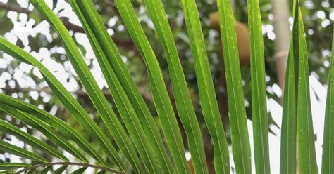 푸른 잔디의 클로즈업 사진 Unsplash의 무료 이미지