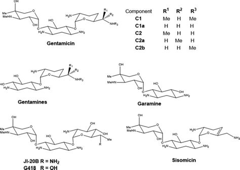 Structure Of Gentamicin Congeners As Well As Common Impurities And