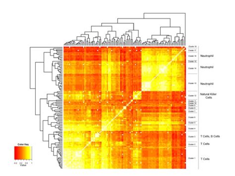 Heat Map Representation Of Hierarchical Clustering Results On 113