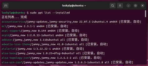 如何列出 Ubuntu 和 Debian 上安装了哪些软件包 兔子教程