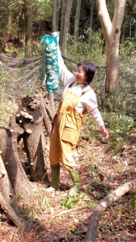 財前直見さんのインスタグラム動画 財前直見instagram「🍙 きのこがいっぱい！ 🍙 大分県公式ポータルサイト「edit Oita