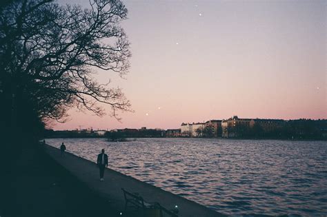 How To Create A Smooth ‘appear On Scroll Transition With Tailwind Css And React By Jacob