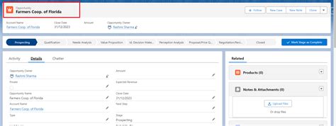 Automating Lead Conversion In Salesforce Using Apex Batch Astrea It Services