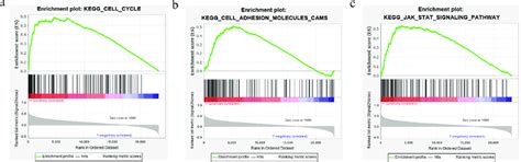 Gene Set Enrichment Analysis Gsea Of Hoxa4 Data Obtained From The