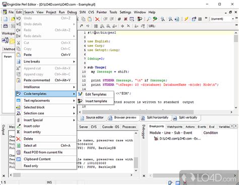 Enginsite Perl Editor Professional Screenshots