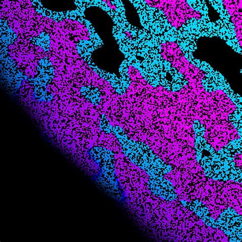 Another Texture R Blender