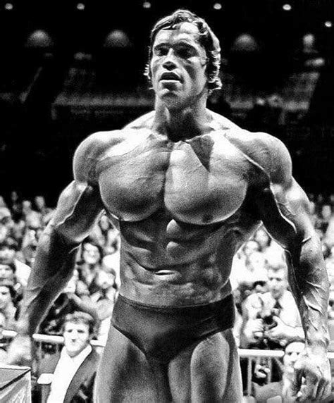 Arnold Schwarzenegger At His Physical Prime 1969 Artofit