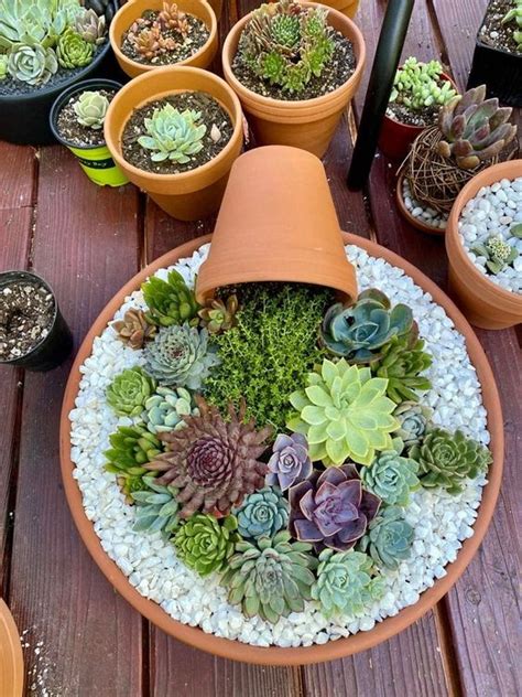 Cool Container Succulents 9 Best Succulent Planters For Container