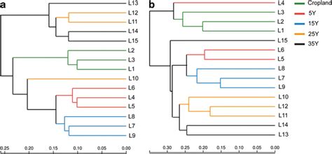 Hierarchical Clustering Tree Of The Bacterial A And Fungal Community Download Scientific
