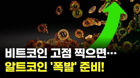 비트코인 고점 찍으면 알트코인 폭발 준비 Youtube