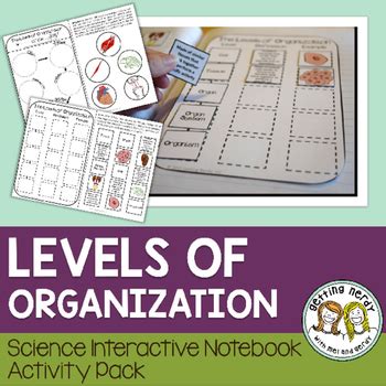 Levels Of Organization Science Interactive Notebook TpT