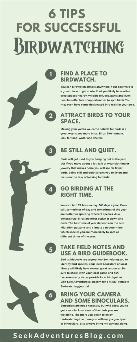 Birdwatching Tips For Beginners Free Printable Birdwatching Journal Observacion De Aves