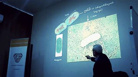 გიორგი მუსხელიშვილი გენეტიკური ინფორმცია Youtube