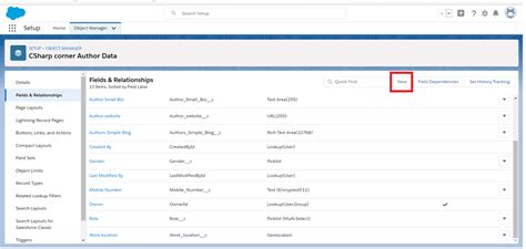 Creating Email Field Data Type In Salesforce Object