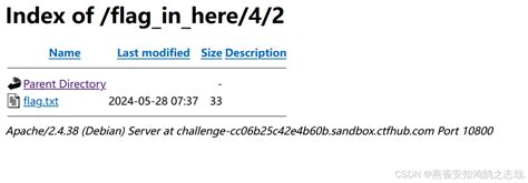 Ctfhub：信息泄露所有题目ctfhub题目 Csdn博客