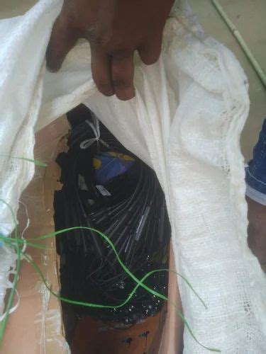 Oneplus Bluetooth Earphone At Rs Piece Ear Phones In Patna Id