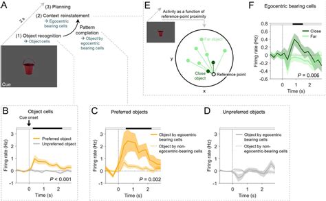A Neural Code For Egocentric Spatial Maps In The Human Medial Temporal