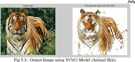 Figure From Skin Segmentation Using YCBCR And RGB Color Models Semantic Scholar