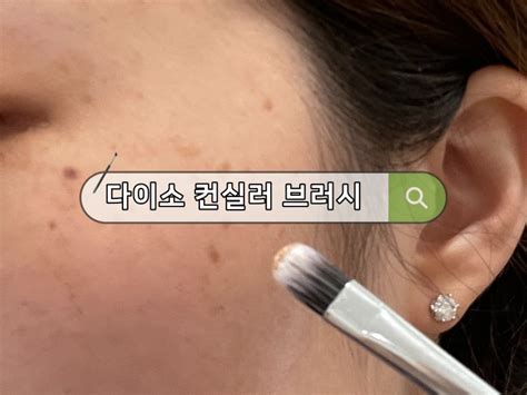 다이소화장품 잡티 커버 추천 듀얼 컨실러 브러시 네이버 블로그