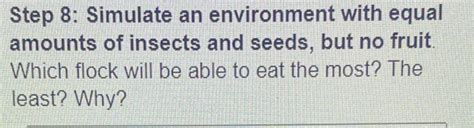 Step 8 Simulate An Environment With Equal Amounts Of Insects And Seeds