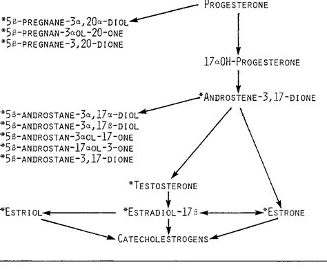 Figure 1 From Maternal Recognition Of Pregnancy In Cattle I Semantic Scholar