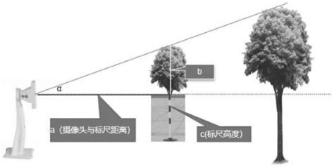 一种基于视觉识别技术的气象站周边障碍物仰角的测定方法