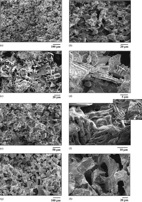Aluminium Foams After Compression A And B Compression Of The Foam Download Scientific