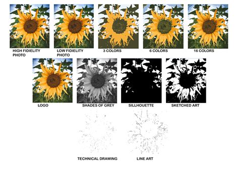How To Trace An Image In Adobe Illustrator Vectorize An Image