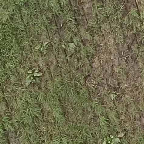 weed detection 1 object detection dataset by detection