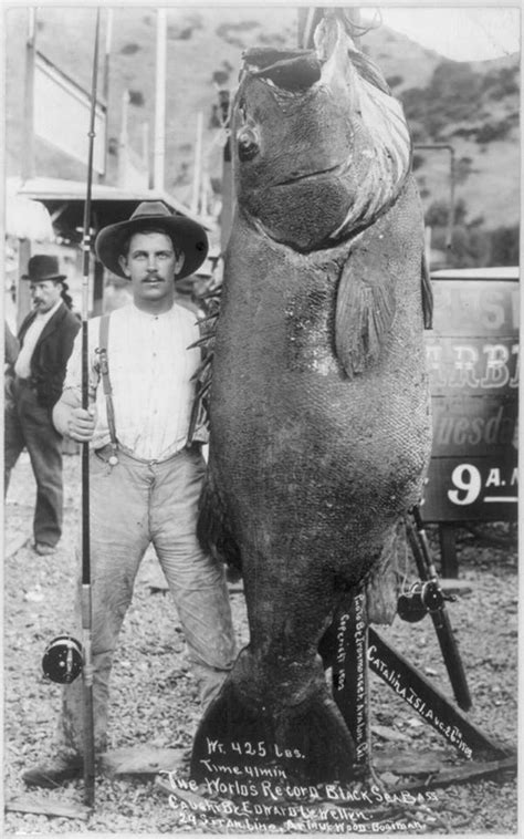 The Top 5 Biggest Bass World Records Outdoorhub