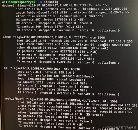 Raspberry Pi Os 32 Bit 系统的树莓派搭建智能家居home Assistant Cotainer 树莓派安装clickhouse Csdn博客