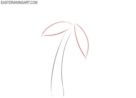 How To Draw A Palm Tree Easy Drawing Art