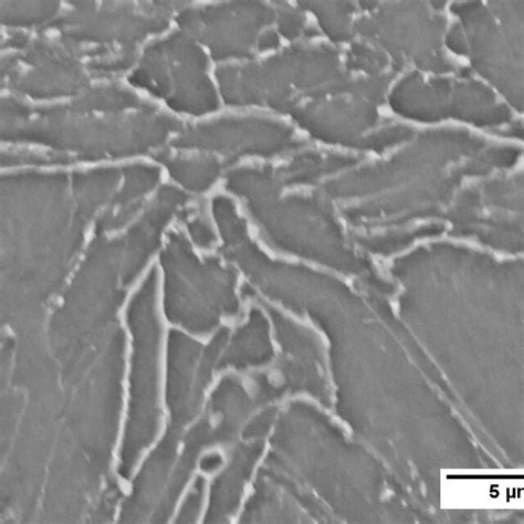 Microstructure Of Fine Grain Heat Affected Zone A C As Welded State