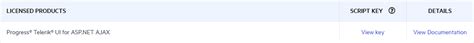 Telerik Web Forms Setting Up Your License Key Telerik Ui For Aspnet Ajax