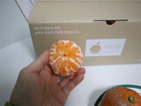 제주여행선물 추천 친환경 귤 고당도 맛있는 미선팜 무농약 제주감귤 네이버 블로그