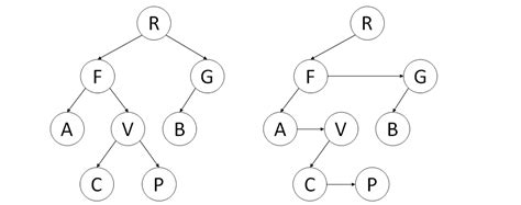 Solved We Can Represent Any Type Of Nary Tree Using