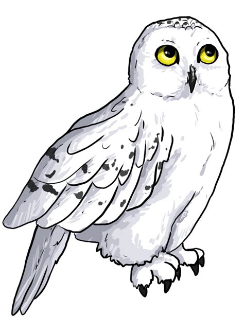 Hedwig By Painted Flamingo On Deviantart