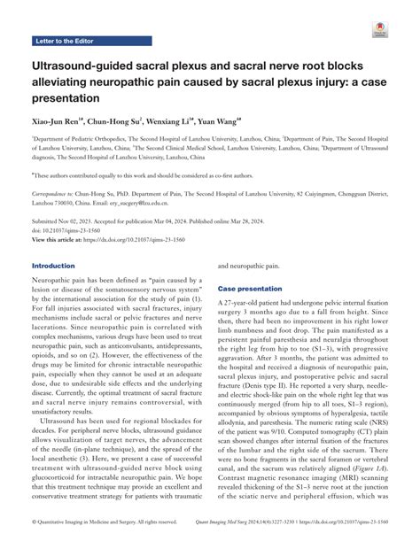 Pdf Ultrasound Guided Sacral Plexus And Sacral Nerve Root Blocks