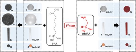 3 1 Schematic Representation Of Functionalization Of Pristine Nms By