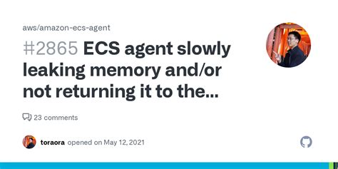 Ecs Agent Slowly Leaking Memory Andor Not Returning It To The Host