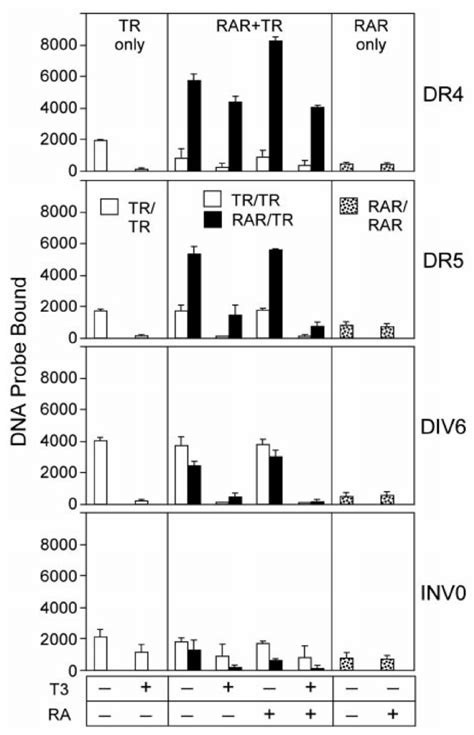 Rar α Tr α Heterodimers Form On A Series Of Prototypic Dna Response Download Scientific