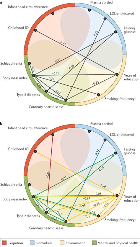 Causal Mapping Phenotypes Of Interest For Various Fields Were Download Scientific Diagram