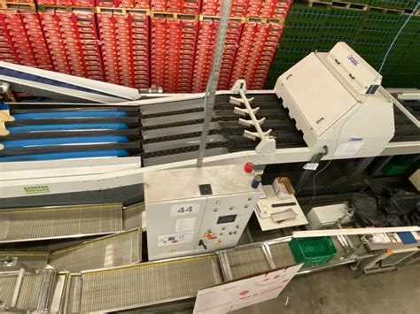 COMPAC LINES AVOCADO SORTING LINE Fruit Graders