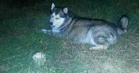 These Two Bitches Run My Life Album On Imgur