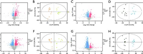 Volcano Plots And Opls Da Score Plots Of Urine And Testis Differential Download Scientific