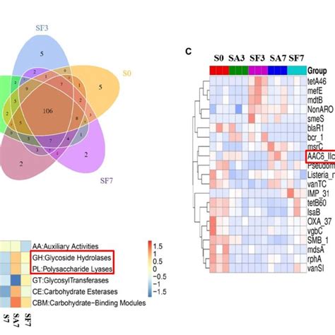 Differential Abundance Of Functional Resistance Genes Among Different Download Scientific