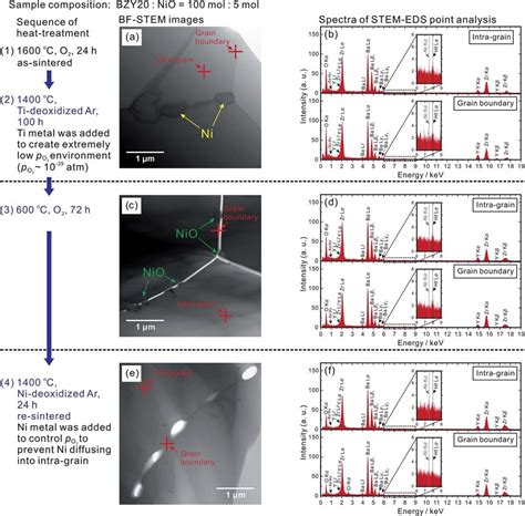 Bf Stem Images And Spectra Of Stem Eds Point Analysis Of The