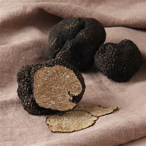 생트러플 프레쉬 가을 버건디 블랙트러플 송로버섯 40g 50g 60g 어거스트테이블비즈