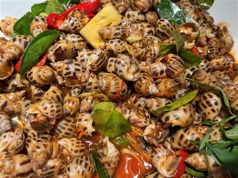 Dishes Cooked From Sea Snails Help Put Việt Nam On The World Culinary Map
