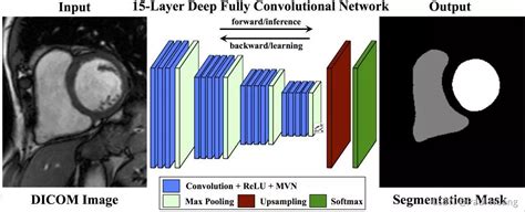 初识：心血管磁共振 cmr 成像 csdn博客